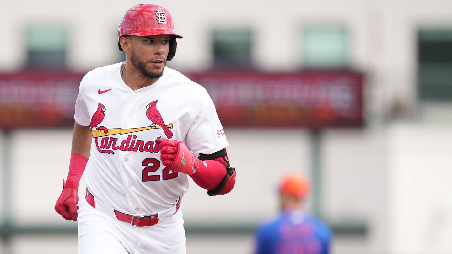 Cardinals' Joshua Báez Could Be Outfield Solution St. Louis Needs