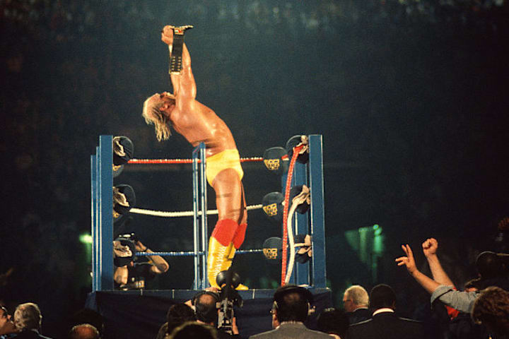 hulk hogan wrestlemania 3 pay