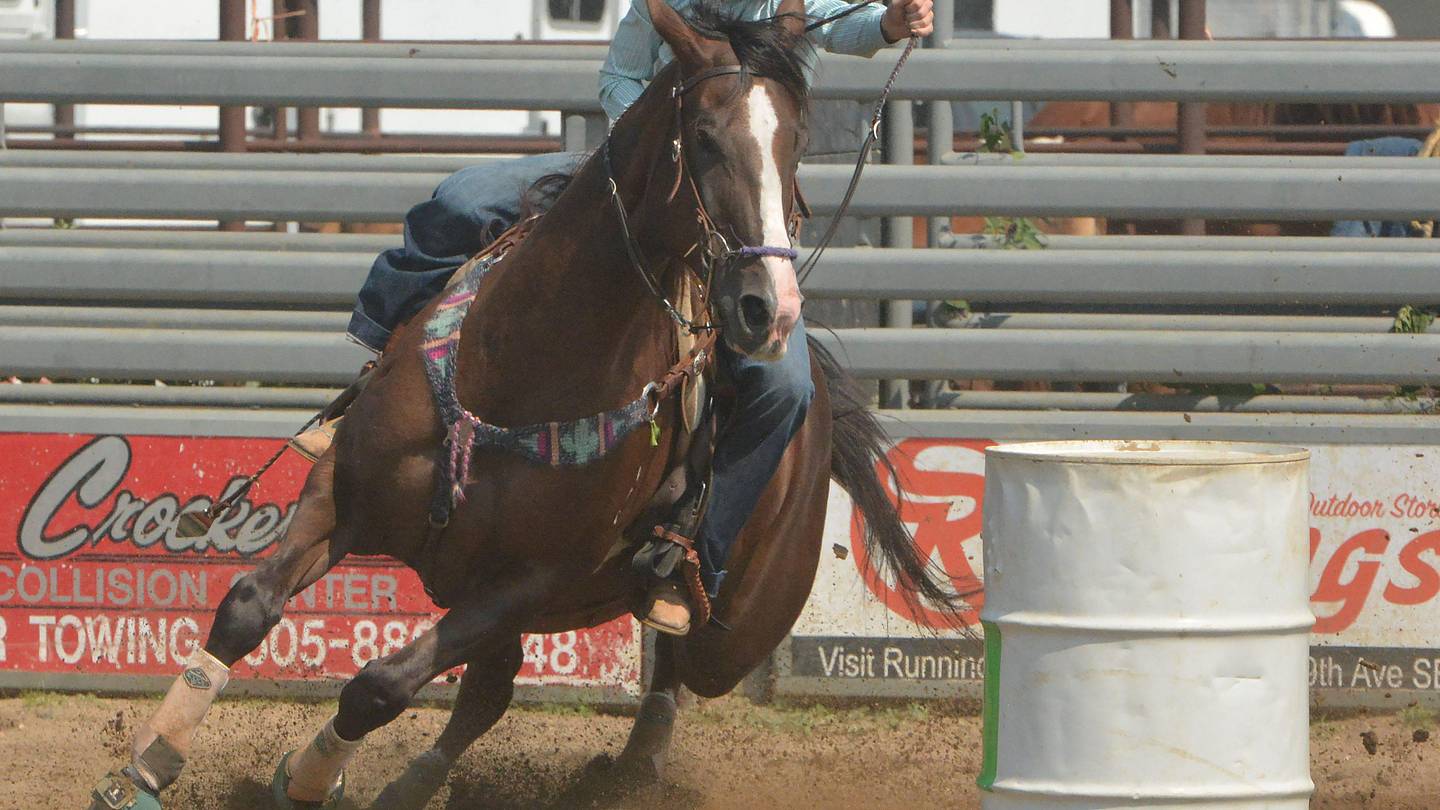 Teen Charged With Multiple Felonies in Tragic NBHA Las Vegas Horse ...