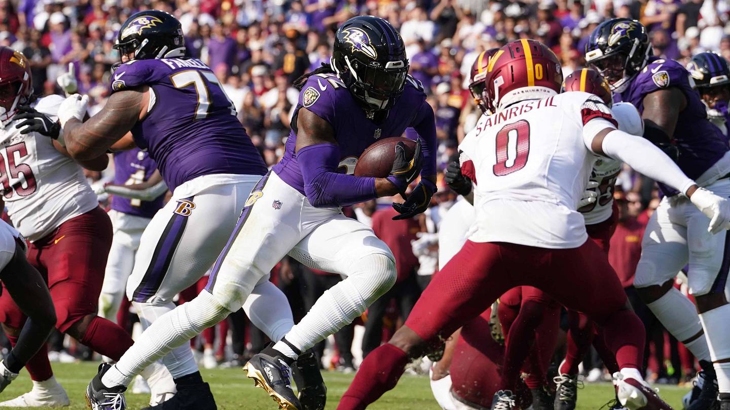 Ravens Fan Pleads Guilty to Assault Charges Following Commanders Game