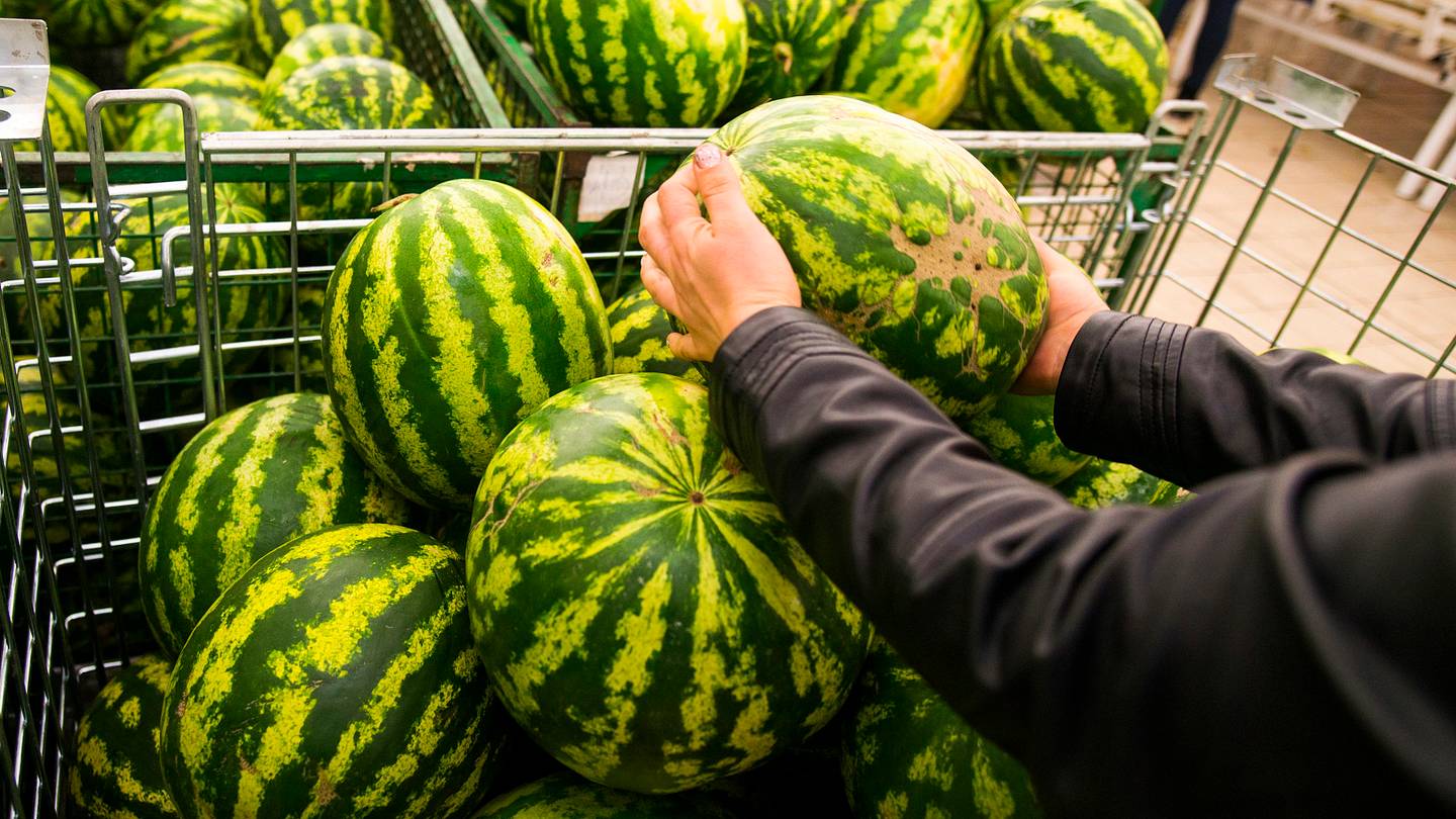 How to Choose the Best Watermelon