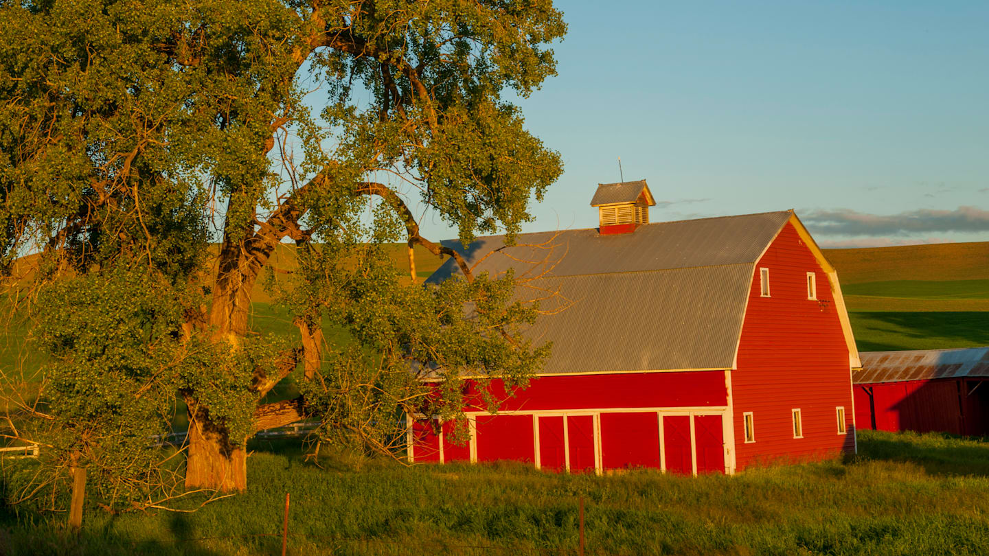 Chicago Cubs Prospects: James Triantos named a top ten second base prospect