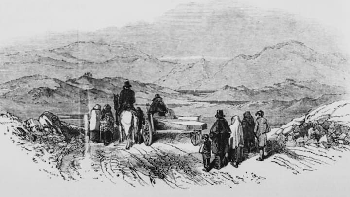 dark depictions   famine