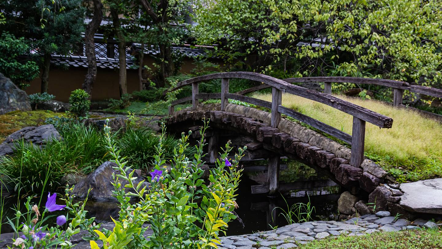 Tourists behaving badly: Japanese authorities ban tourists from popular ...