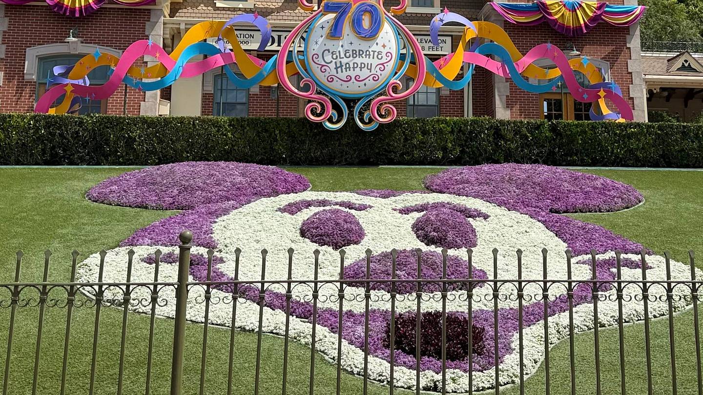Disney Cards Are Surging, from 1930s Mickey to Modern 1/1s