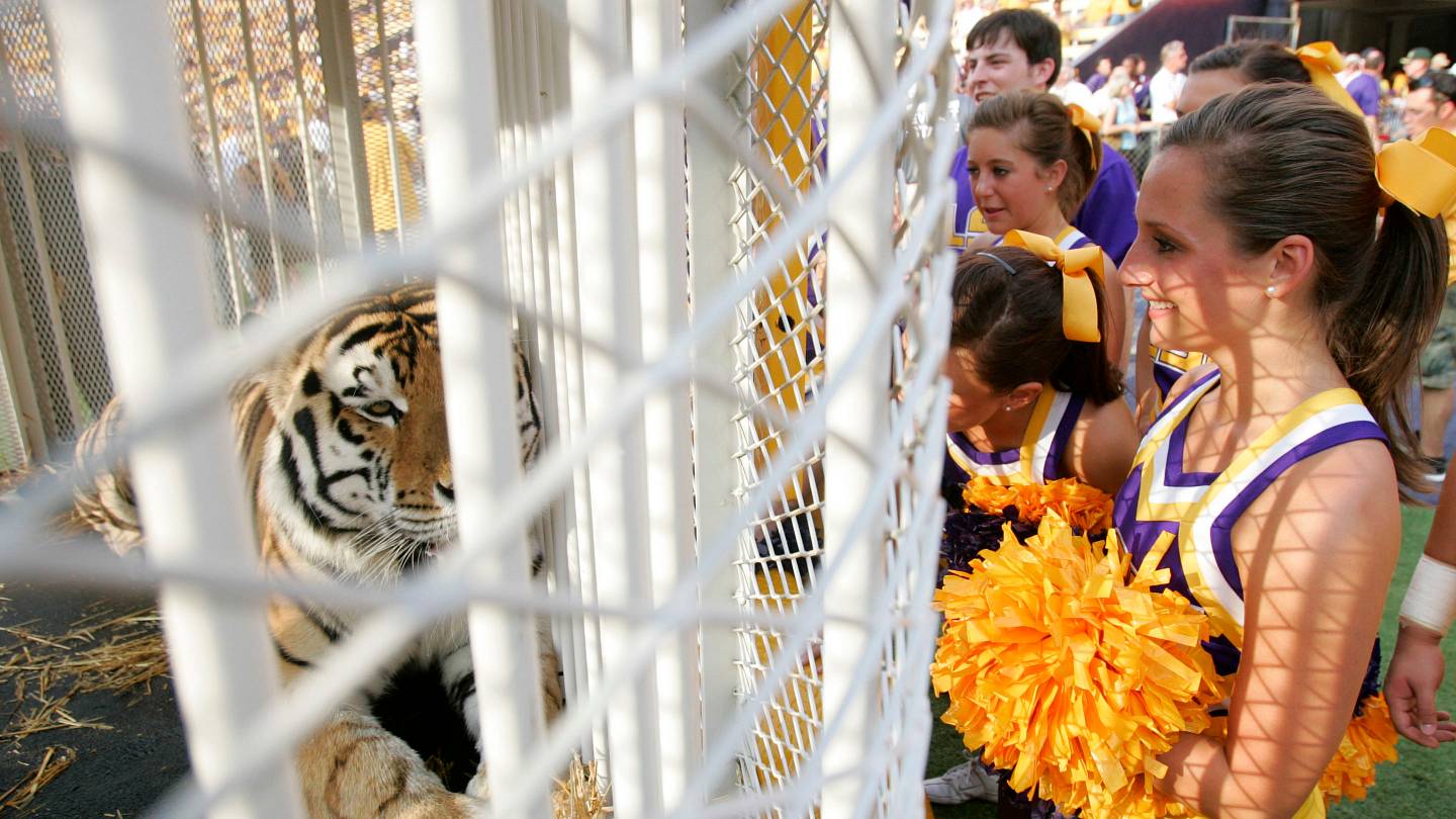 Report: Live Tiger Could Be in Stadium for Alabama's Game at LSU