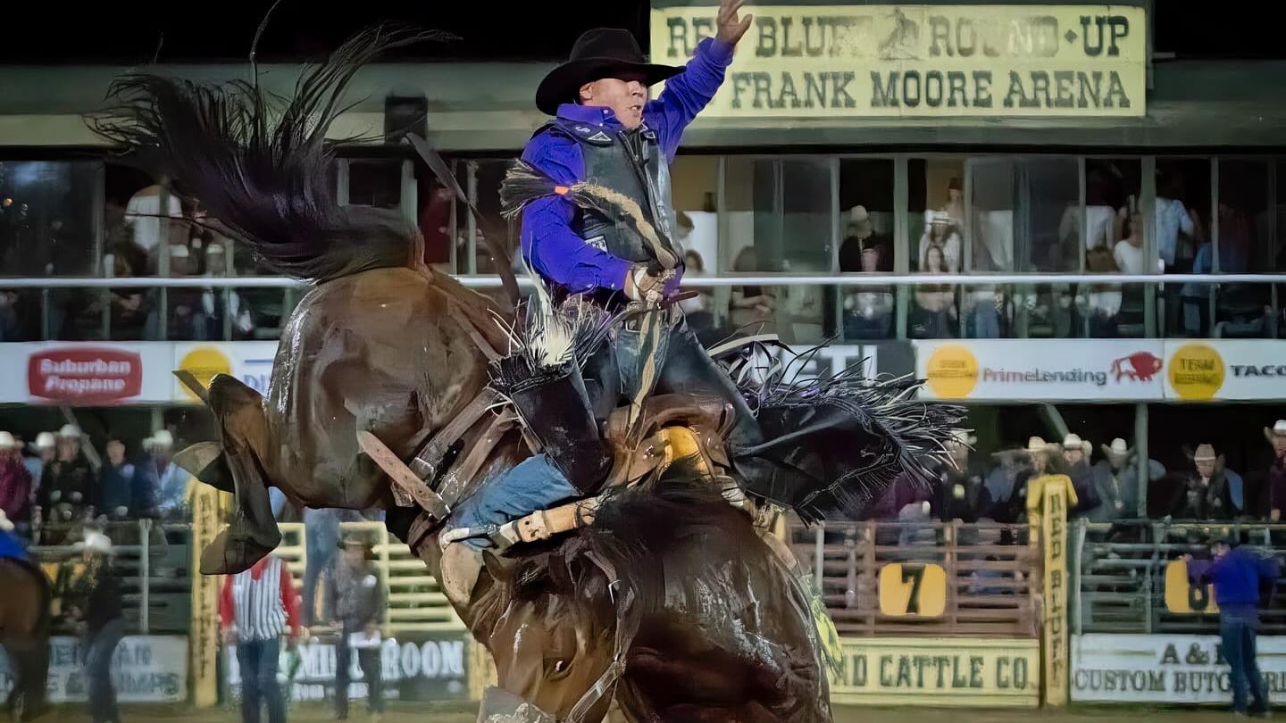 Prairie Circuit Win Allows Saddle Bronc Rider to Get Head Start on 2025 ...