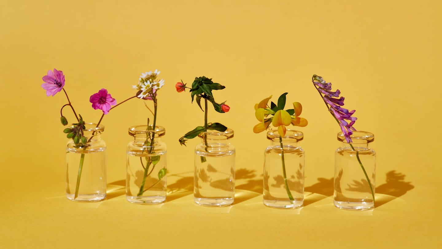 7 Tips for Keeping Cut Flowers Fresh