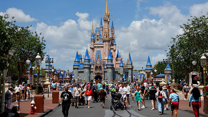 theme park description