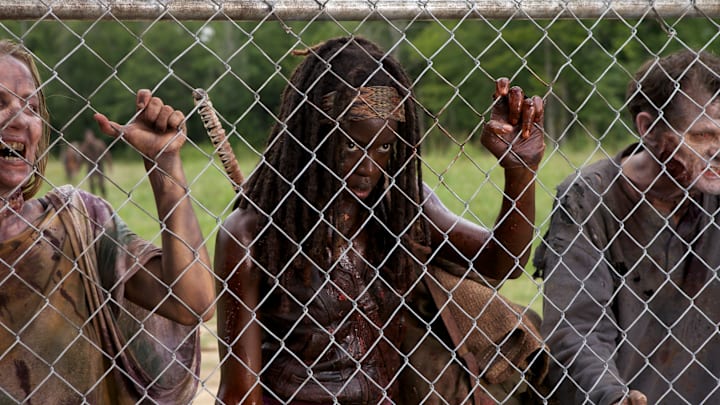 michonne walker pets