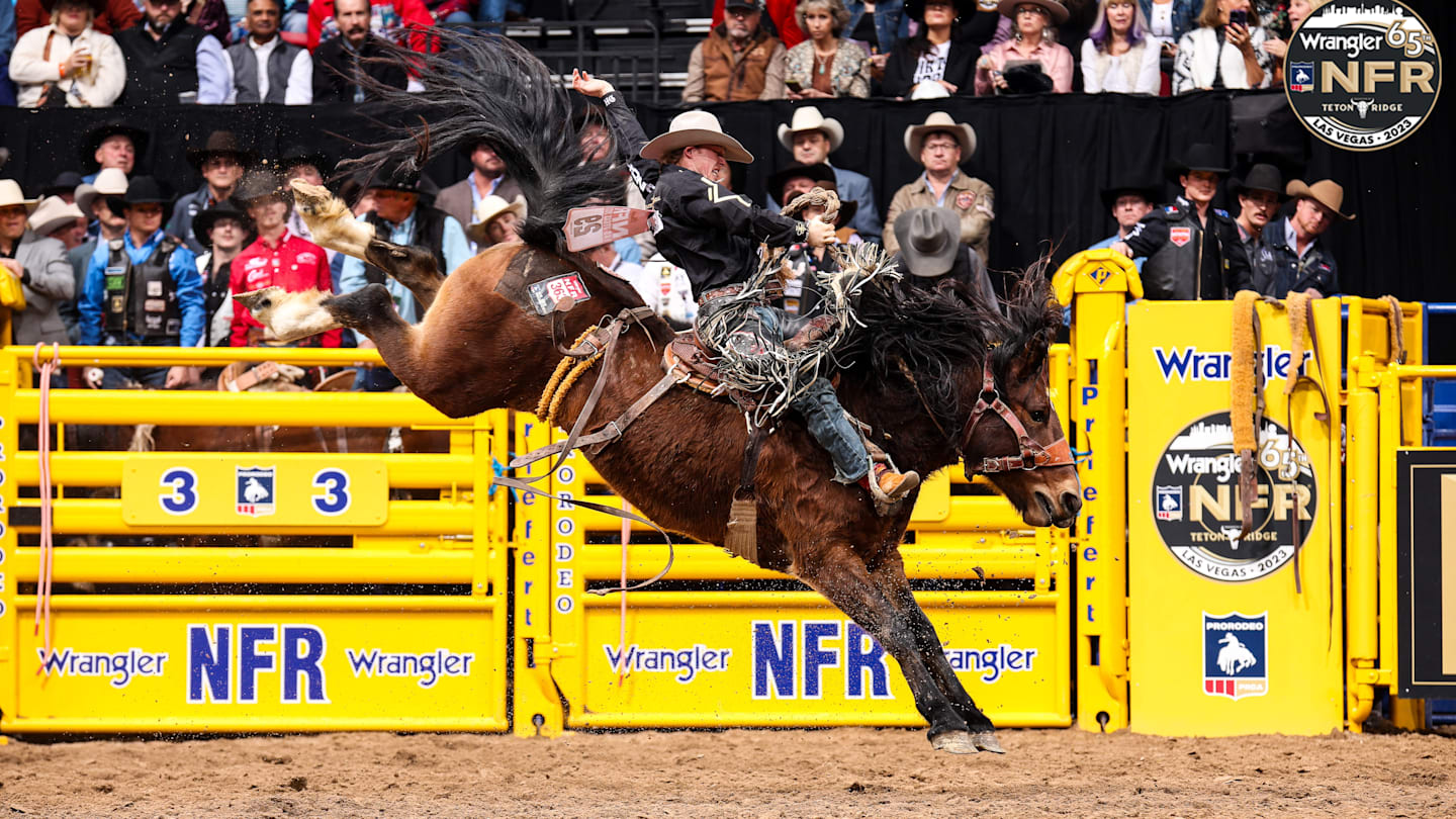 Roll the Red Carpet, the Bucking Horses for NFR 2024 Have Been Announced