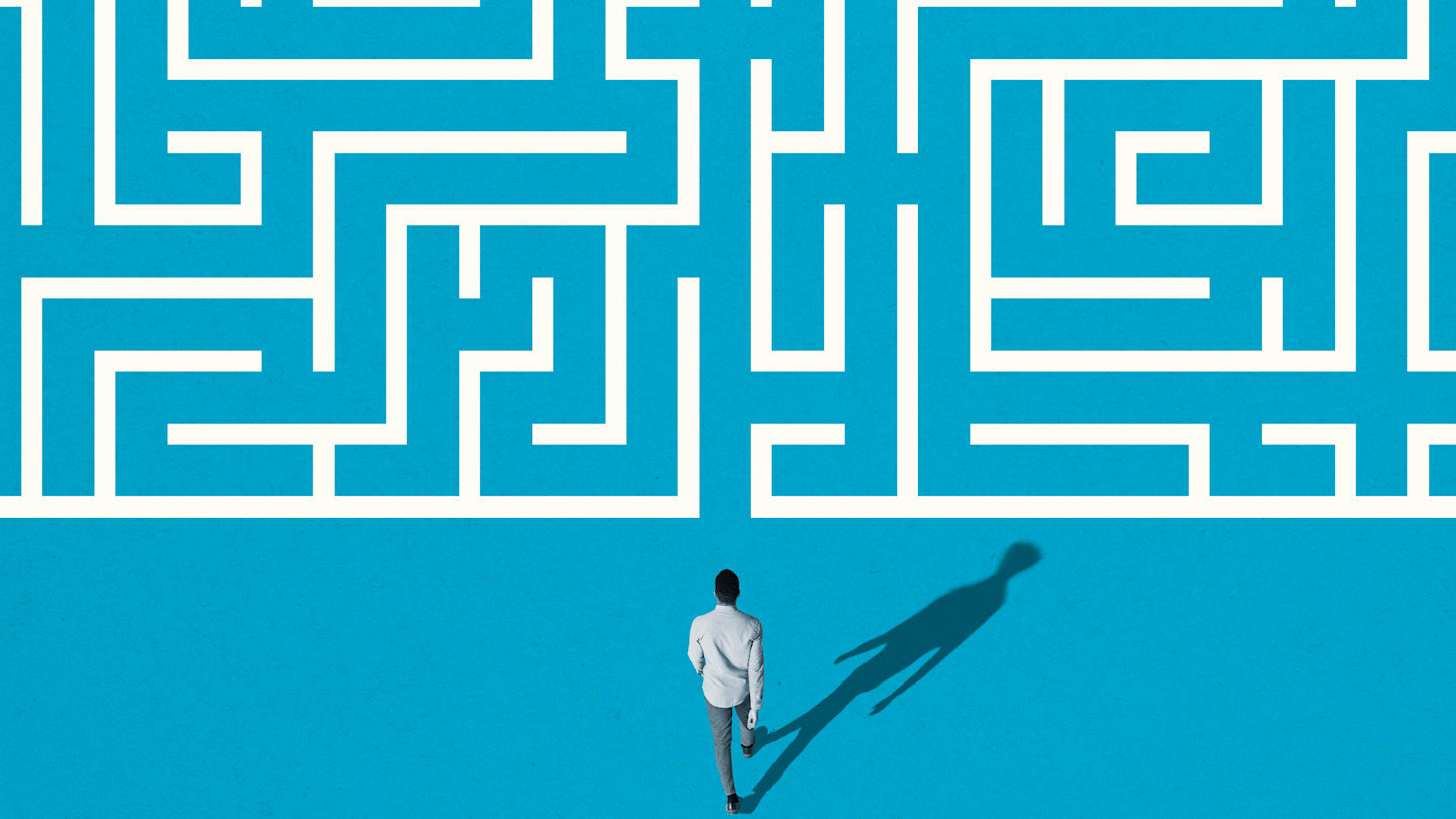 Why Is It Called a “Litmus Test”?