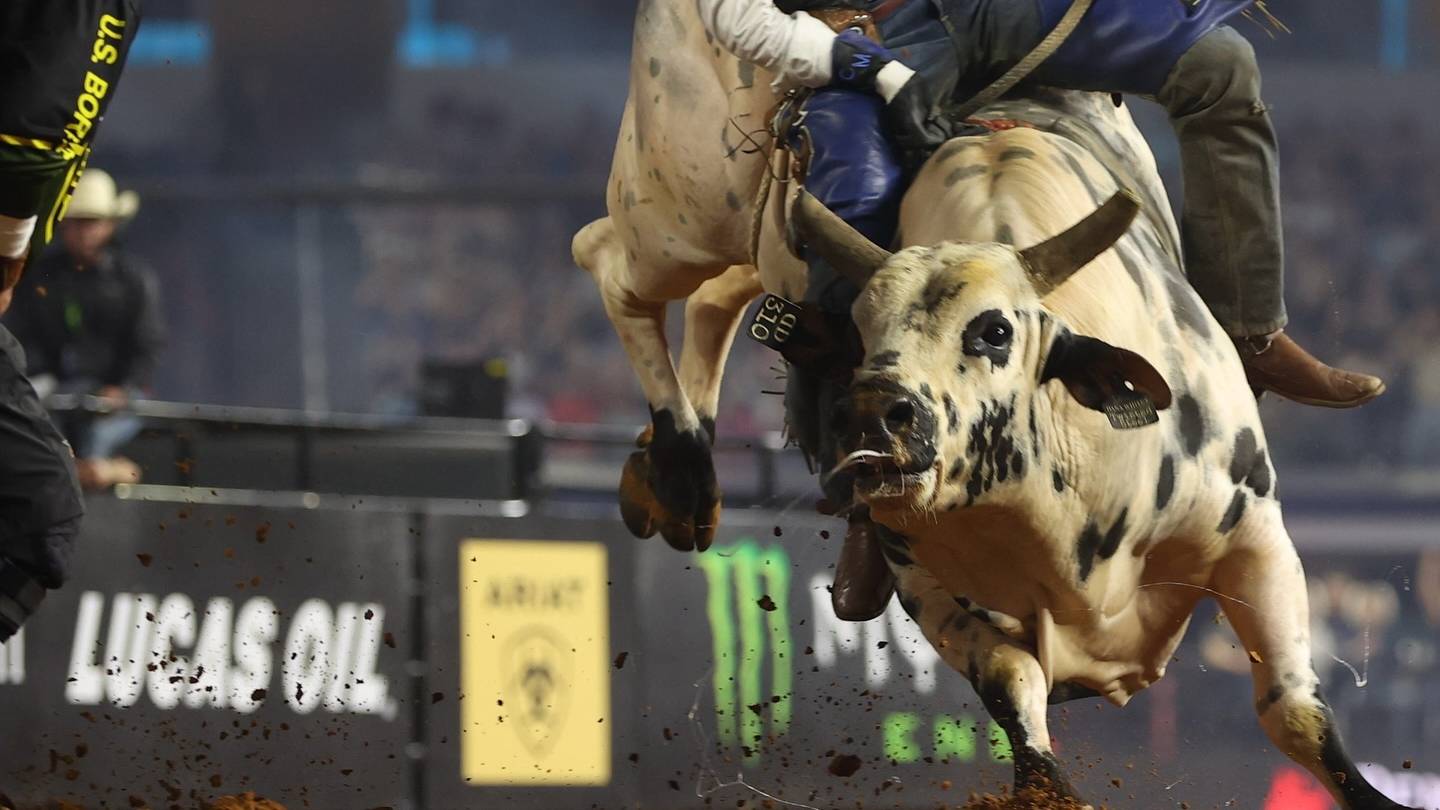 Dana White's Twisted Steel Passes Away Leaving Behind Incredible PBR Legacy