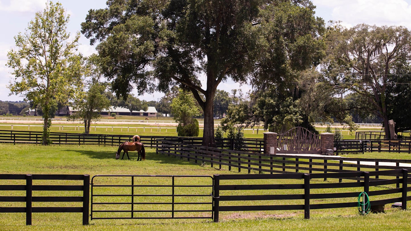 Deep Dive: States and Events Currently Impacted by EHM Outbreak