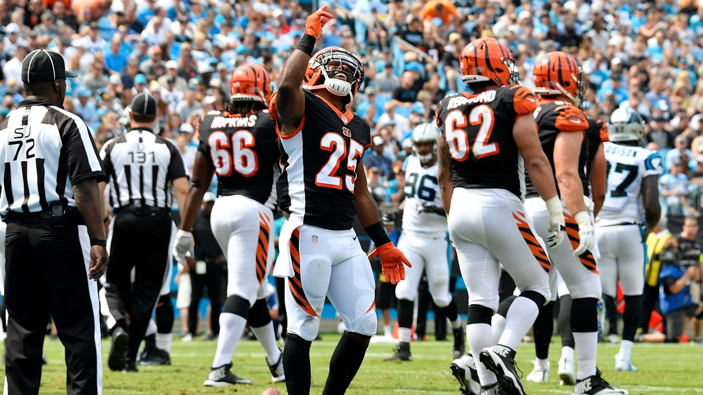 Bengals vs Panthers Prediction and Odds for Week 9