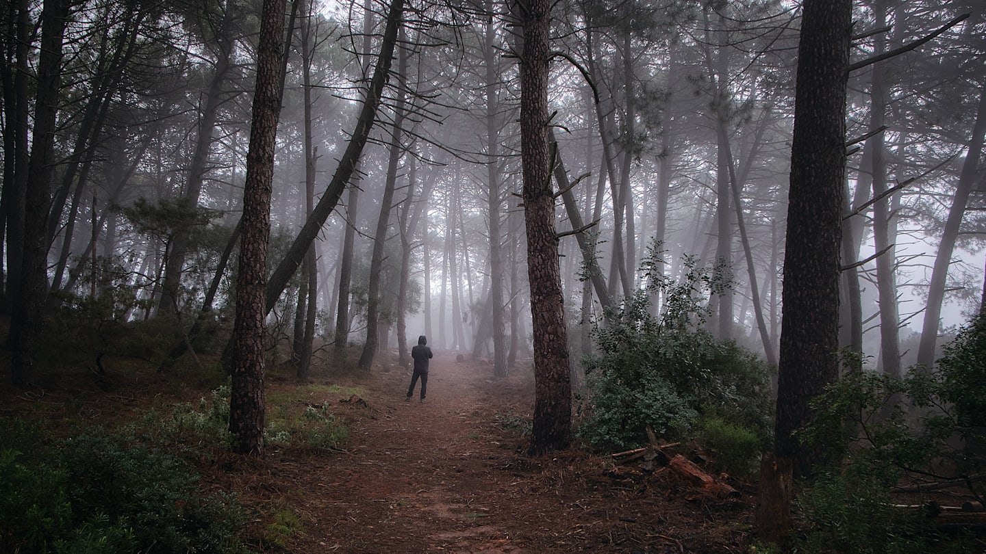 Annunci escort bbw roma she isn't exactly resemble the girl