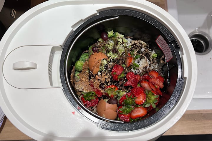 We Tried It Is the Lomi Countertop Composter Worth the Investment