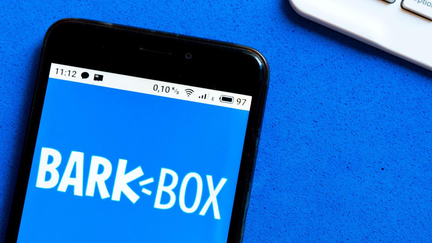 BarkBox is all about the summer BBQ for their June subscription box