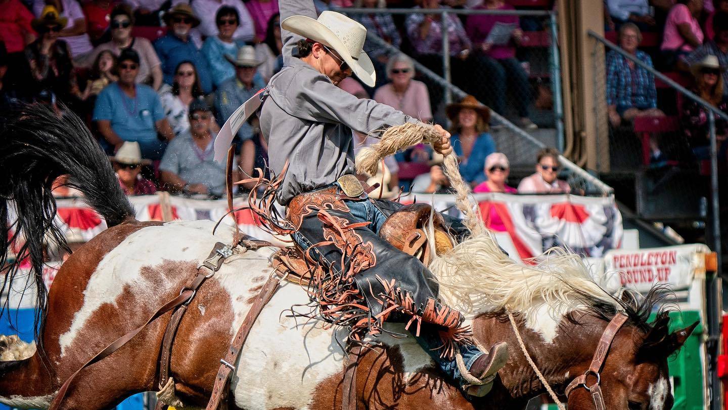 Wyoming Cowboy Earns Win at CINCH Australian Invitational Global Bronc ...