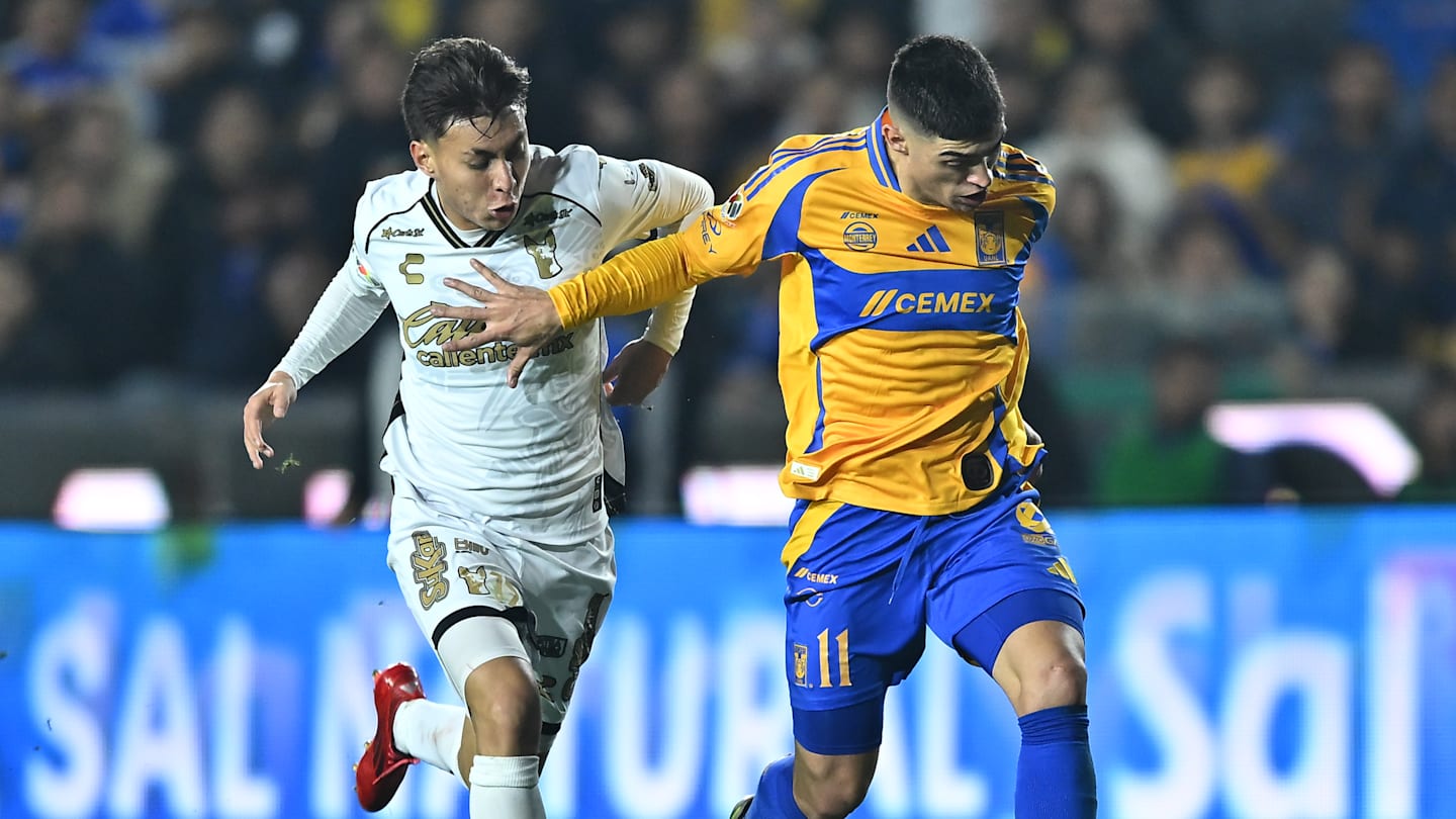 Tigres vs Tijuana: cómo ver el partido por TV y streaming, últimas ...