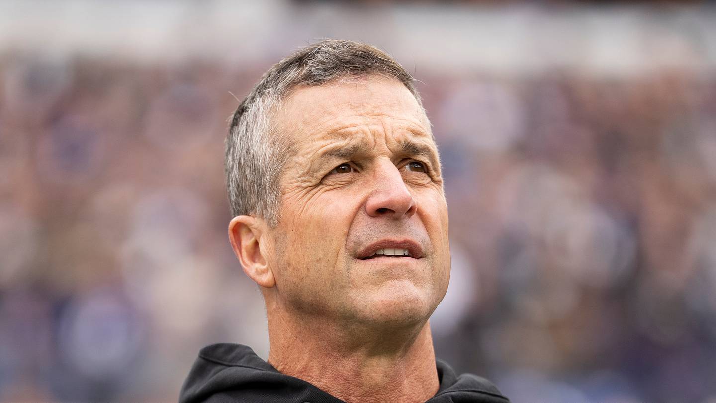 John Harbaugh sends perfect message to Giants fans after being named ...