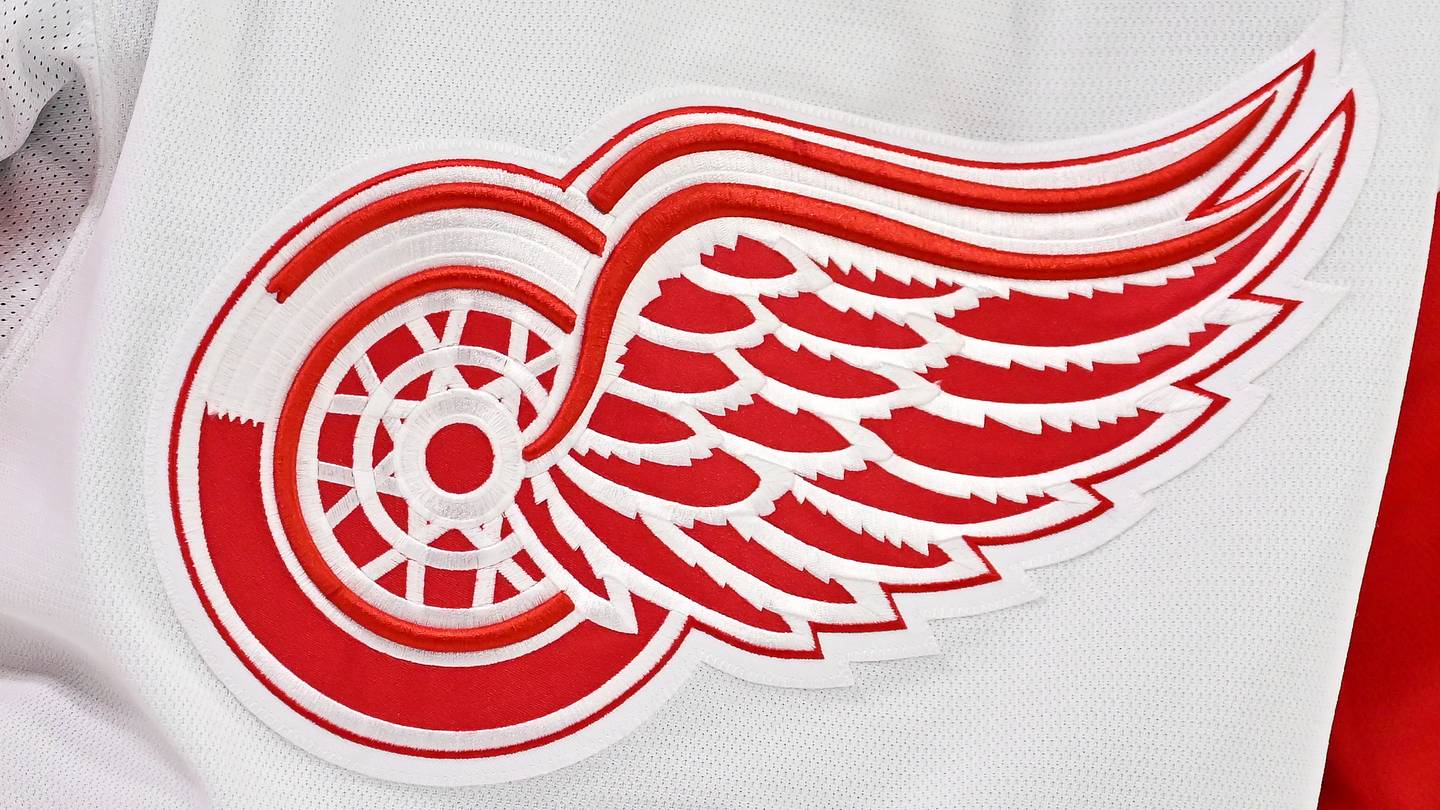 This 6'7 defenseman is chasing his NHL shot with the Red Wings