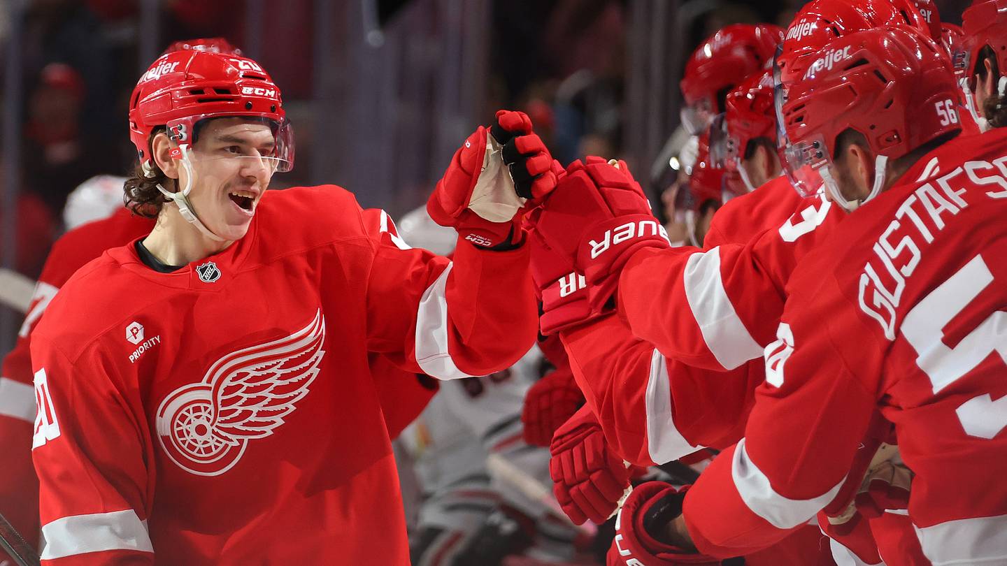 Detroit Red Wings reuniting the bromance on ice, Simon Edvinsson ...