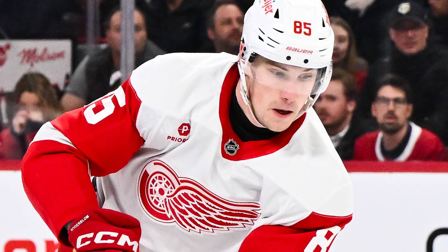 Elmer Soderblom could be the Red Wings biggest mystery