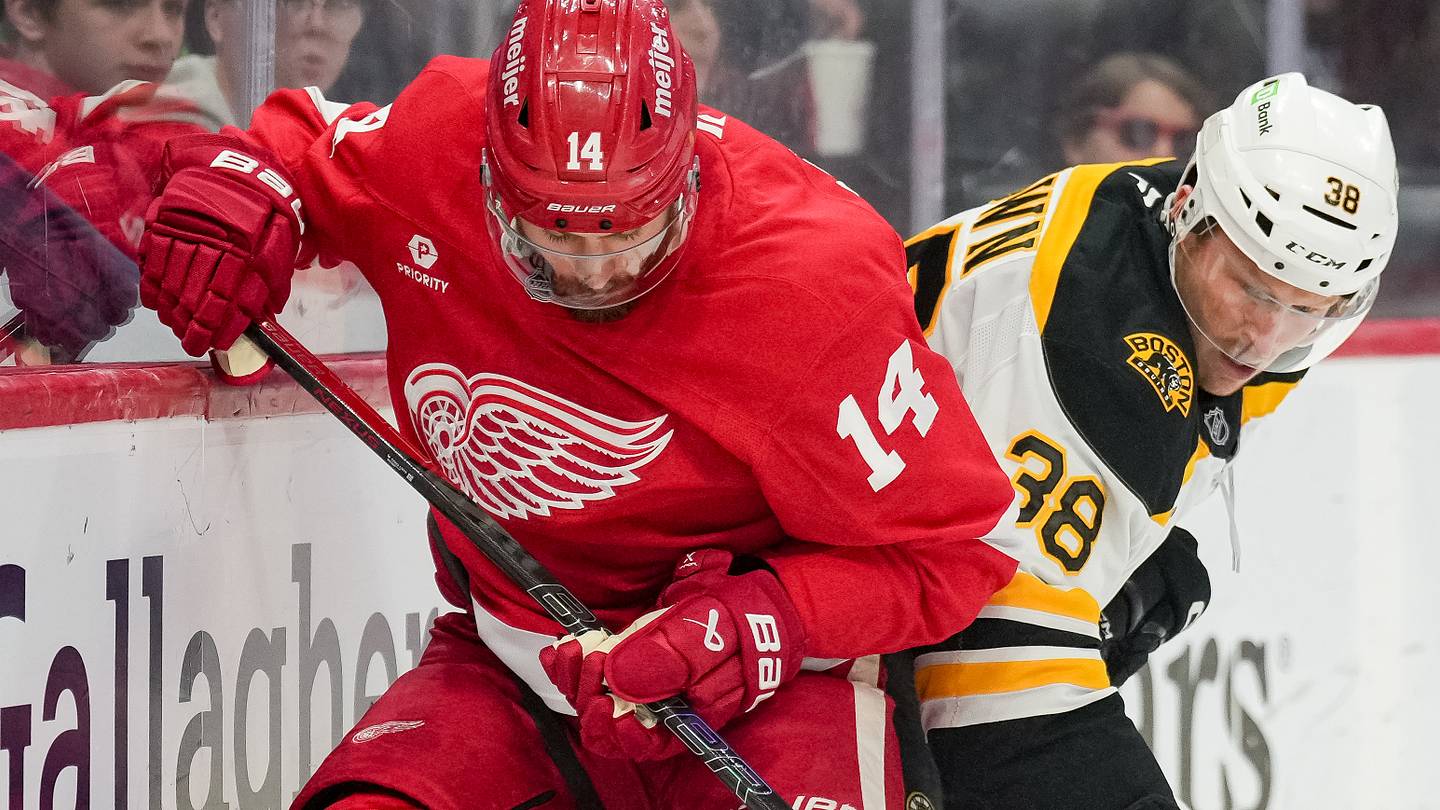 Why Red Wings fans shouldn’t write off the Bruins just yet