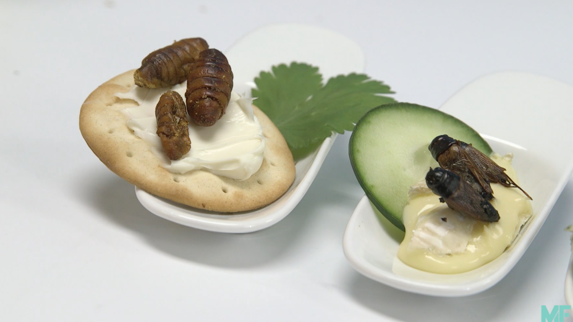 How to Eat Bugs | Video | Mental Floss