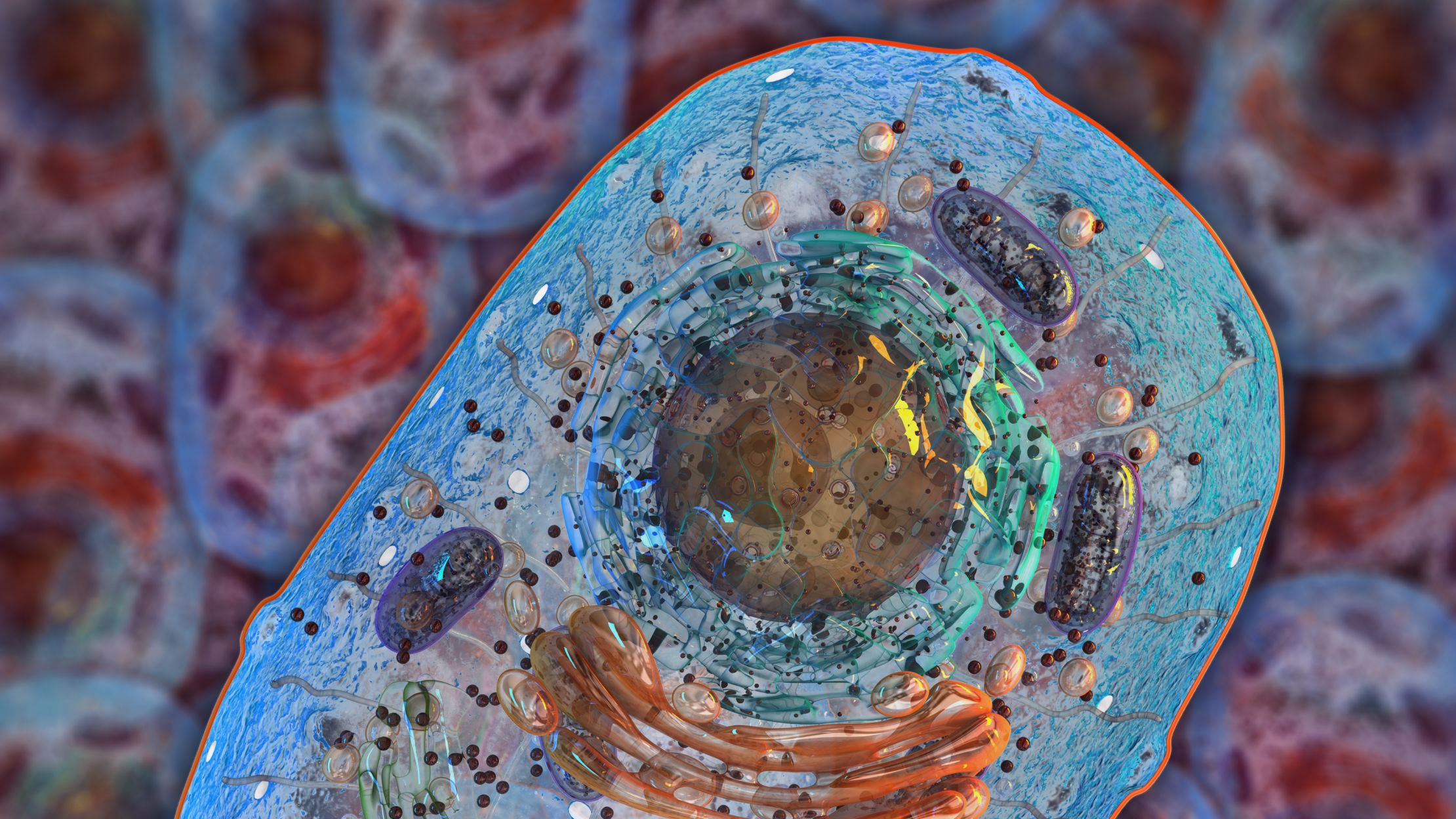 The Prehistoric Bacteria That Helped Create Our Cells Billions of Years ...