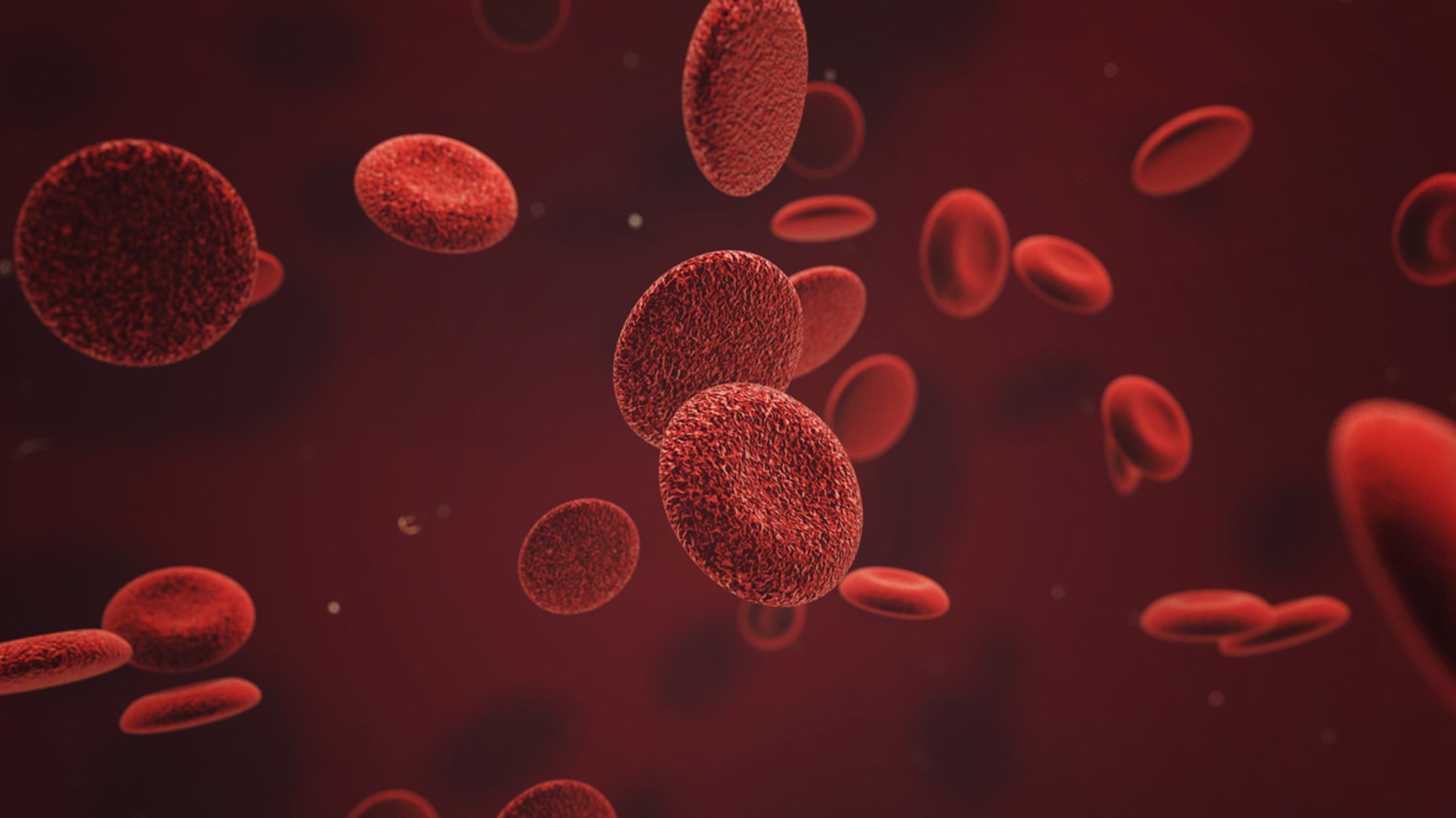 How Much Blood Is in the Human Body? | Mental Floss