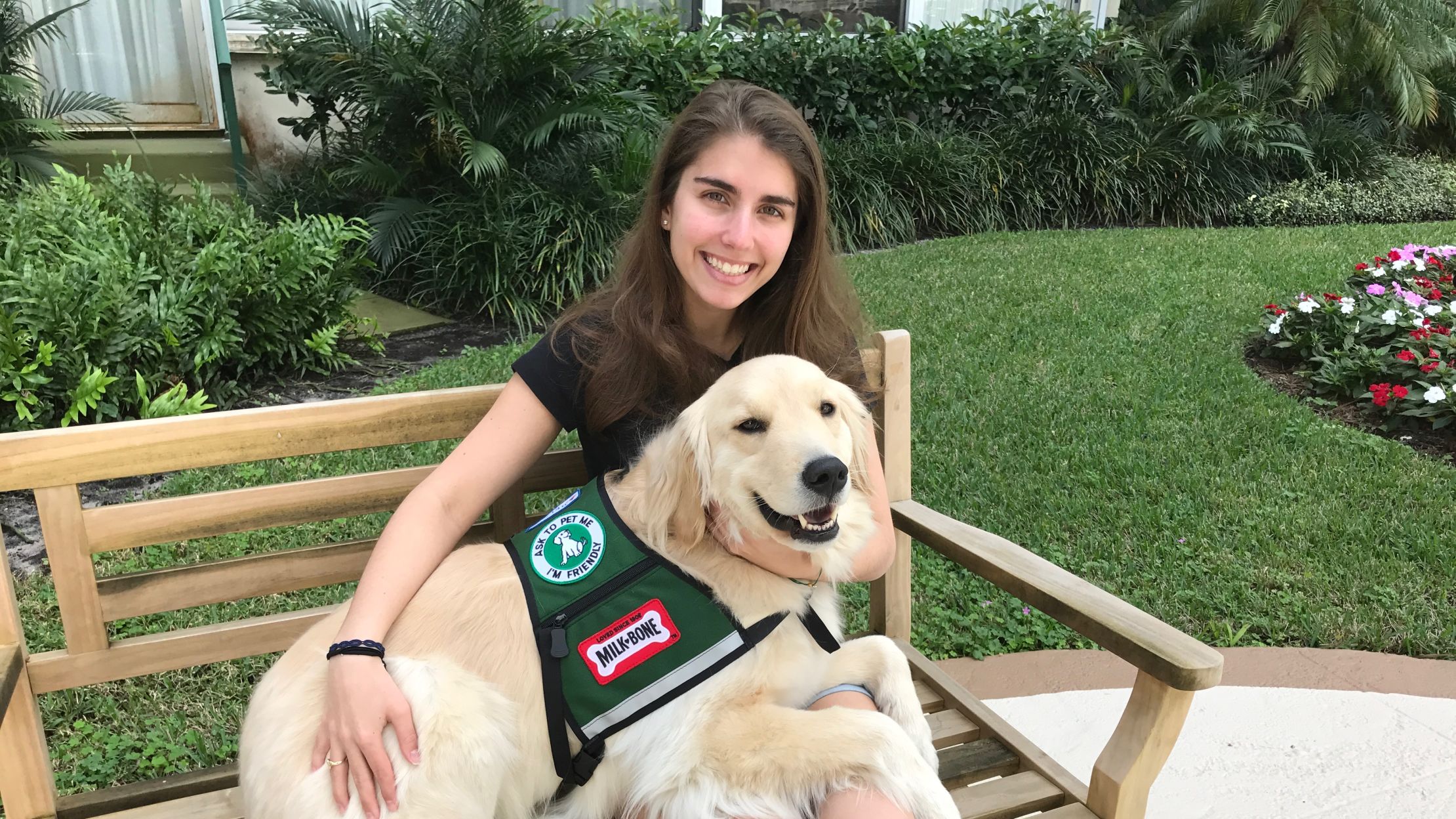 9 Dedicated Dogs with Amazing Jobs | Mental Floss