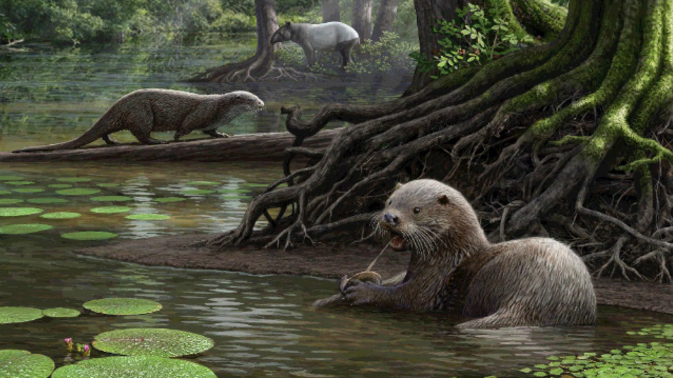 Wolf-Sized Otters Once Prowled Prehistoric Swamps | Mental Floss