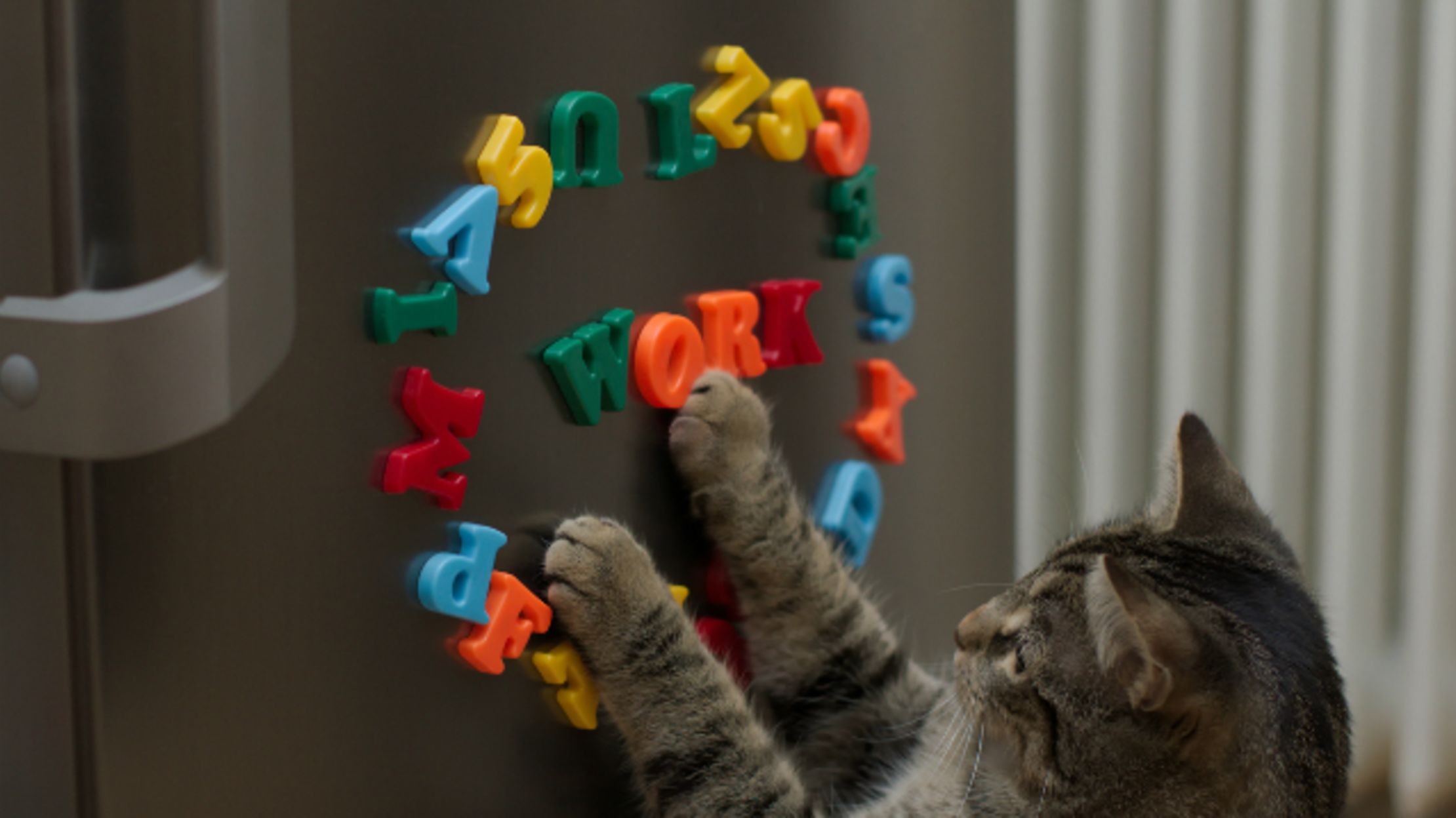 How Do Animals Navigate Using Earth’s Magnetic Field? | Mental Floss