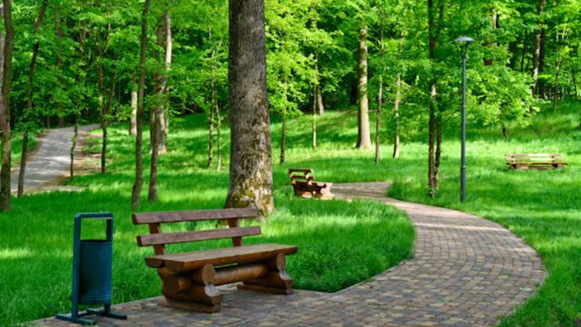 More Green Spaces Linked To Less Aggressive Kids Mental Floss More Green Spaces Linked To Less Aggressive Kids Mental Floss