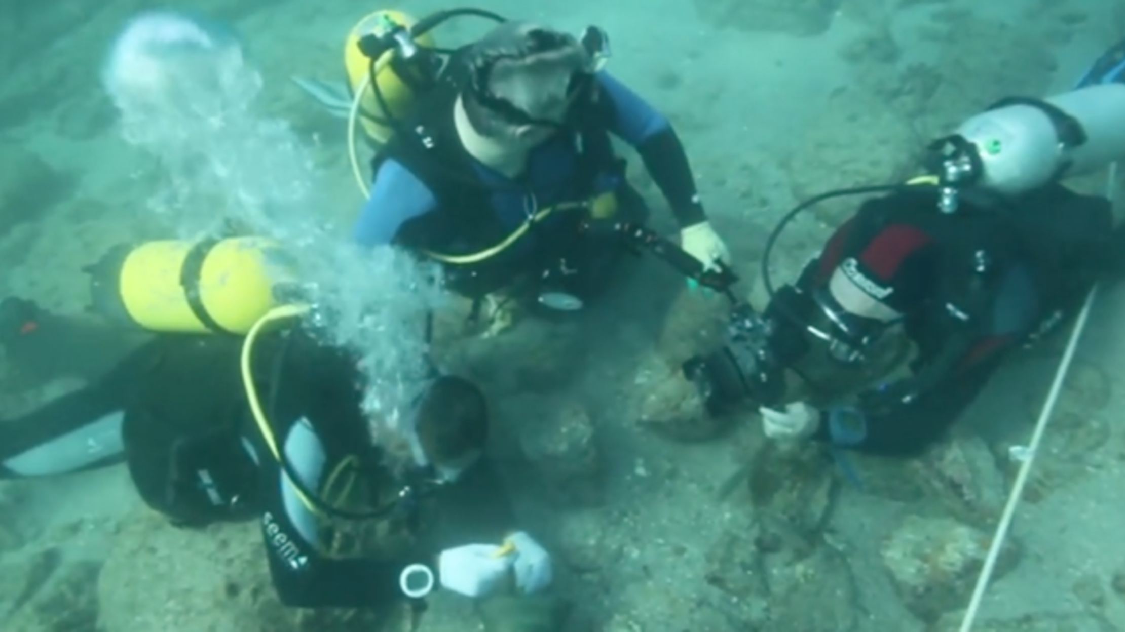 Ship Believed to Be Part of Vasco da Gama's Fleet Discovered | Mental Floss