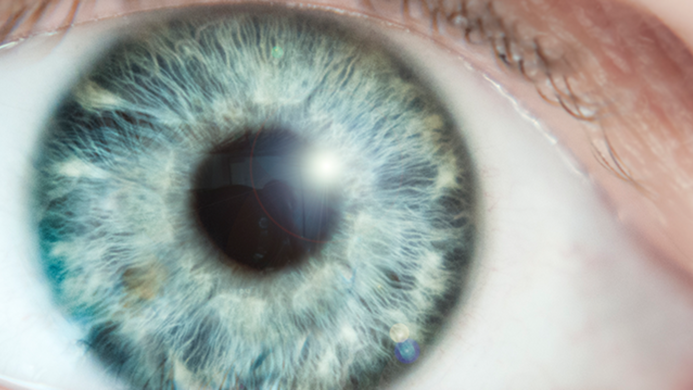 Infographic: 15 Fascinating Facts About Eyes | Mental Floss