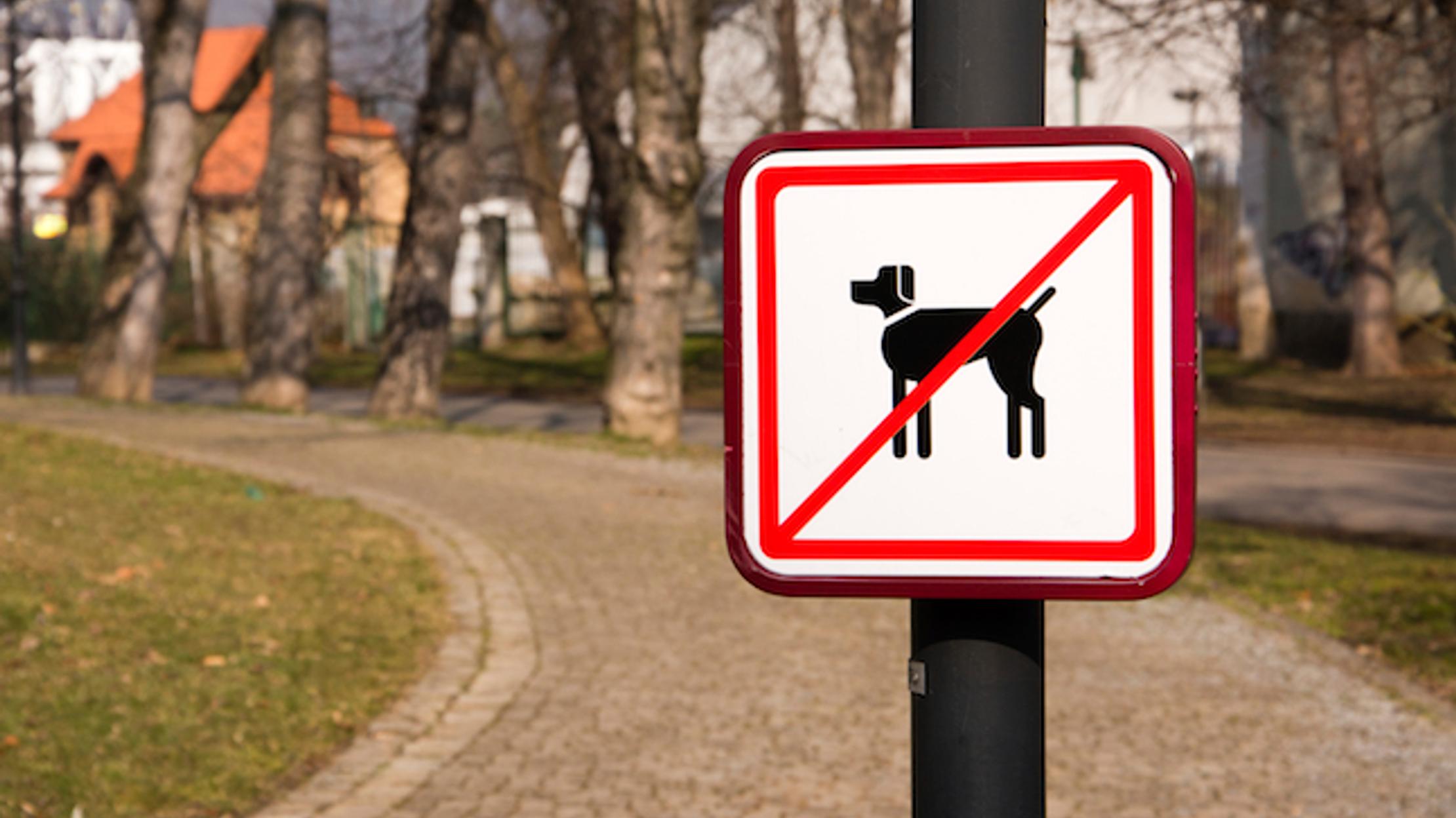 15 Surprising Animal Laws That Are Still On The Books Mental Floss 15 Surprising Animal Laws That Are Still On The Books Mental Floss
