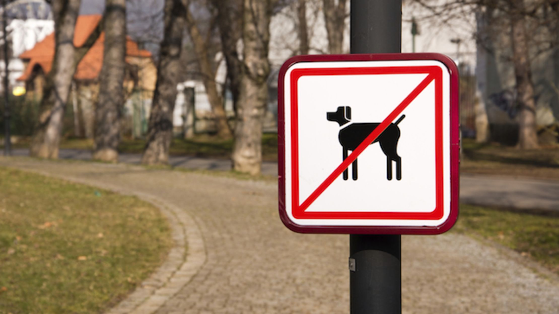 15 Surprising Animal Laws That Are Still On The Books Mental Floss 15-surprising-animal-laws-that-are-still-on-the-books-mental-floss