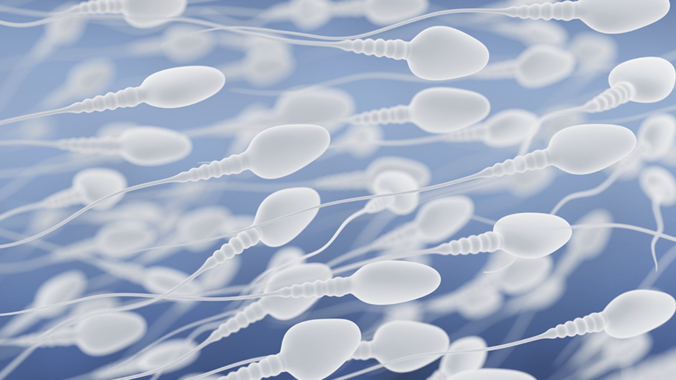 Newly Discovered Visual Sensors Aid Sperm’s Movement | Mental Floss