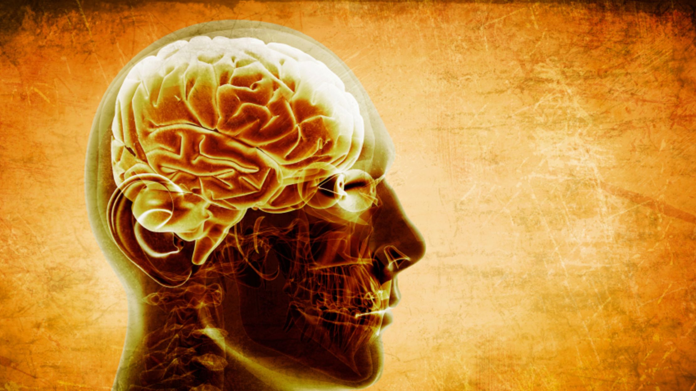 88 Amazing Facts Everyone Should Know Mental Floss 88-amazing-facts-everyone-should-know-mental-floss
