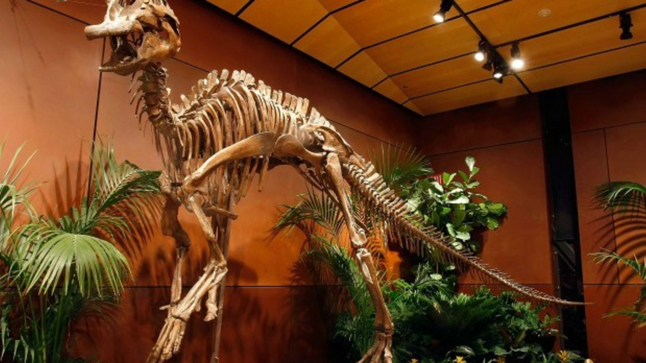 10 Facts About Hadrosaurus | Mental Floss