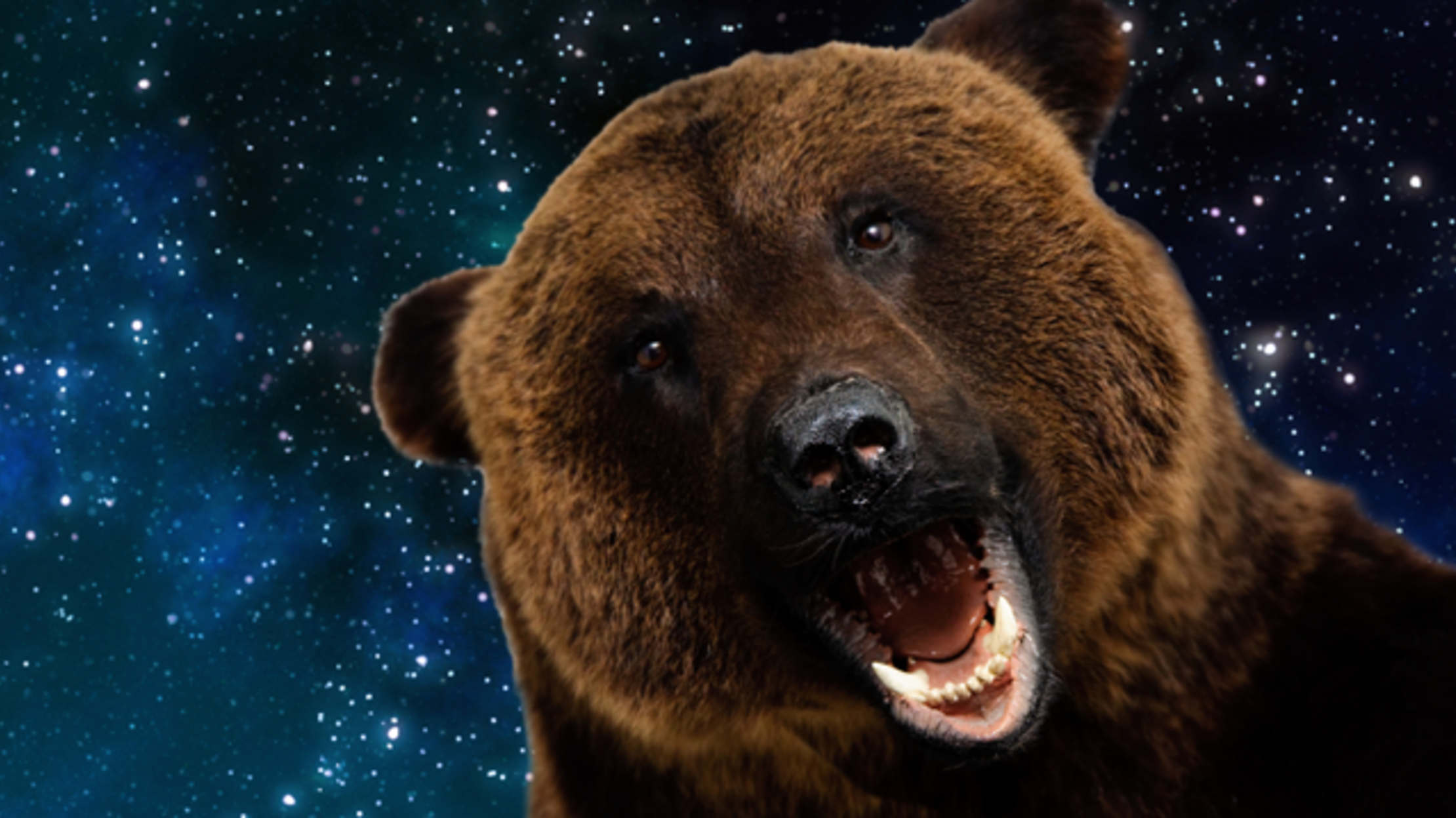 Math Suggests Aliens Could Be Bear-Sized | Mental Floss