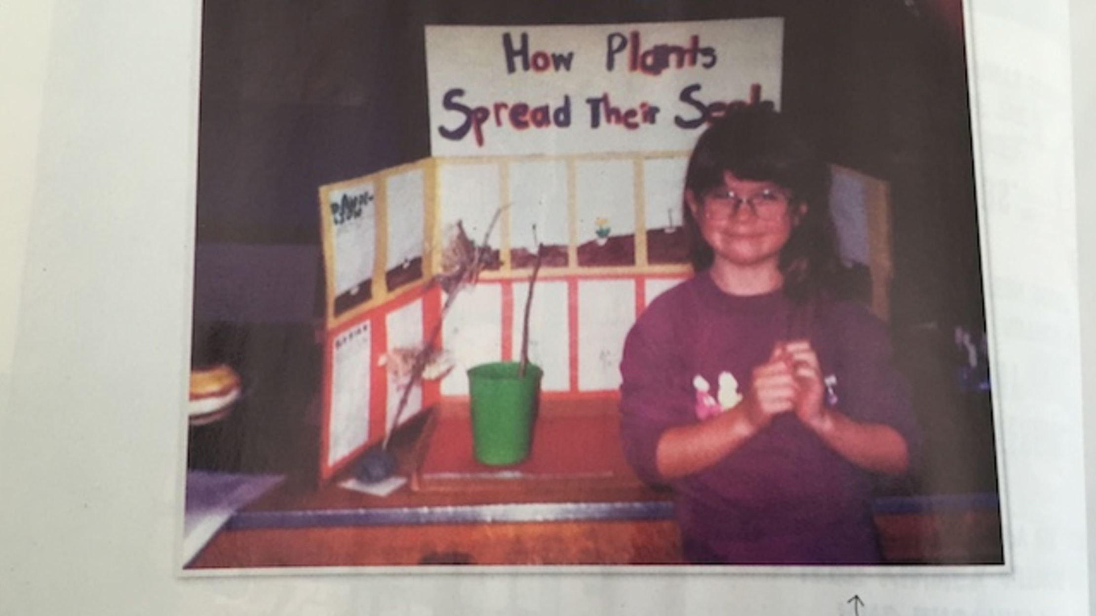 What Was Your Best Worst Science Fair Project Mental Floss what-was-your-best-worst-science-fair-project-mental-floss