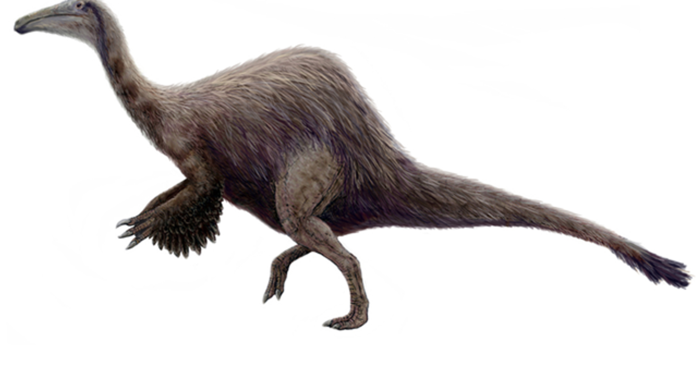 10 Handy Facts About Deinocheirus | Mental Floss