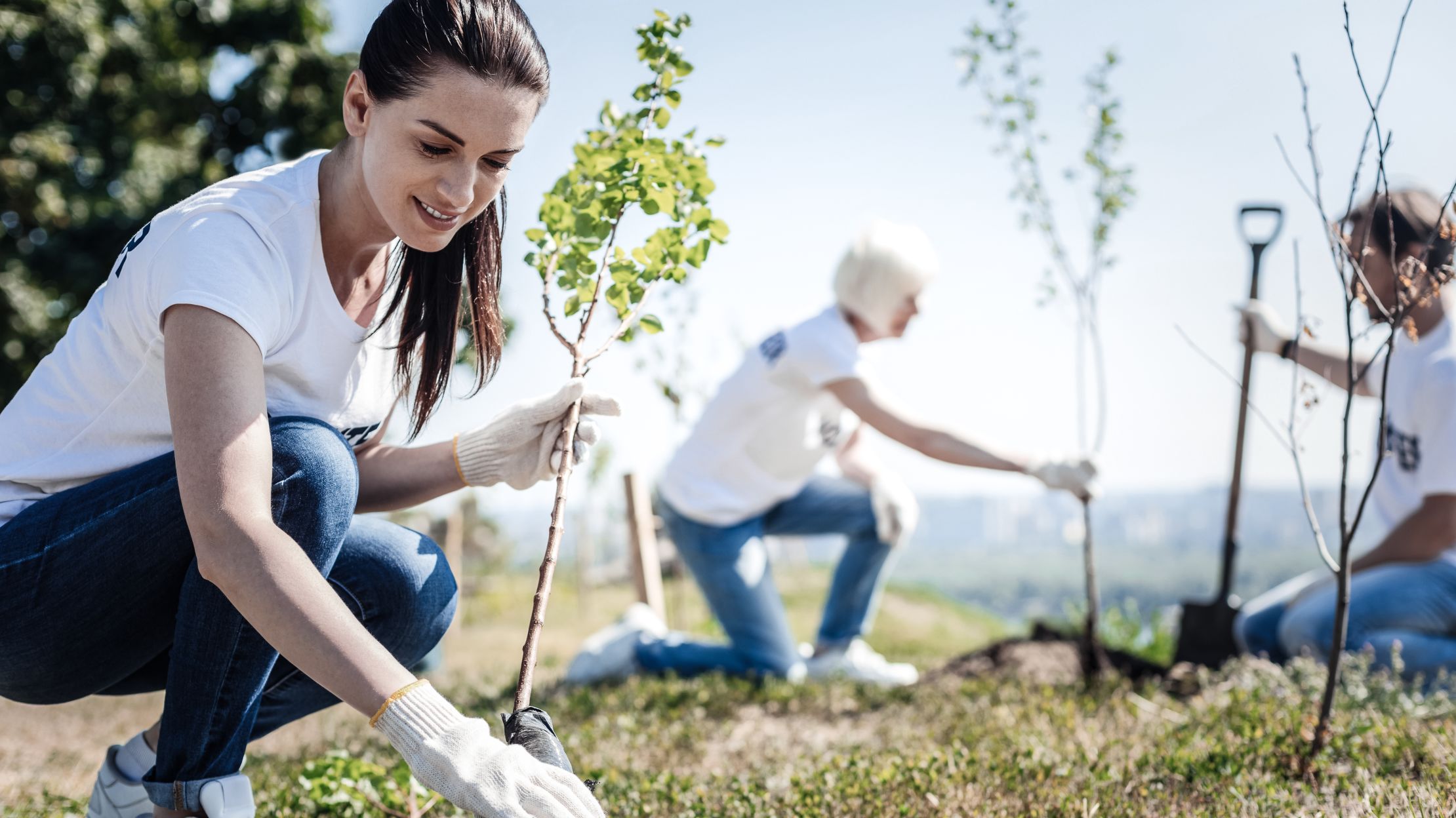 11 Easy Ways to Be Greener on Earth Day | Mental Floss