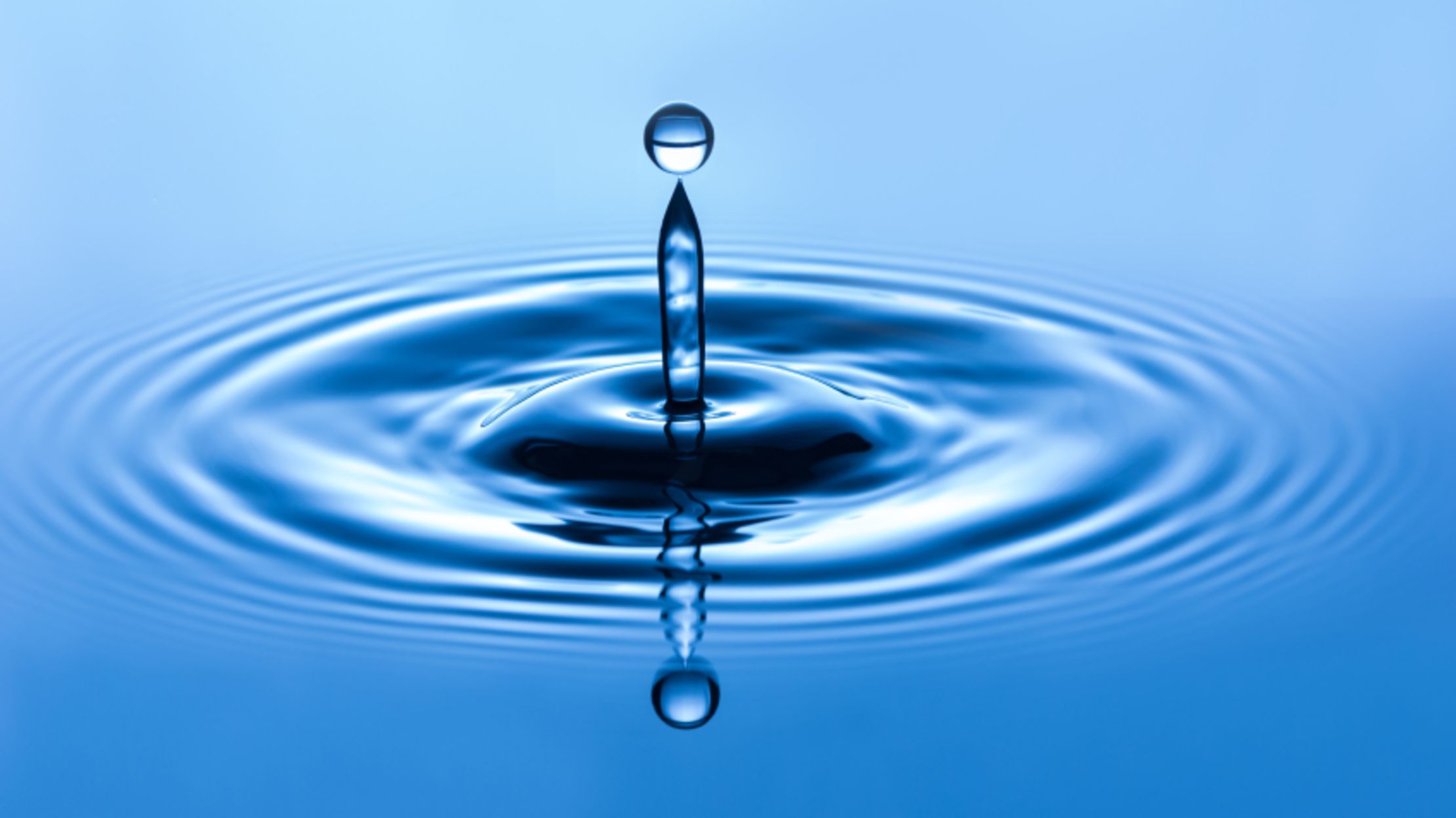 The Surprising Water Footprints Of 15 Common Things Mental Floss