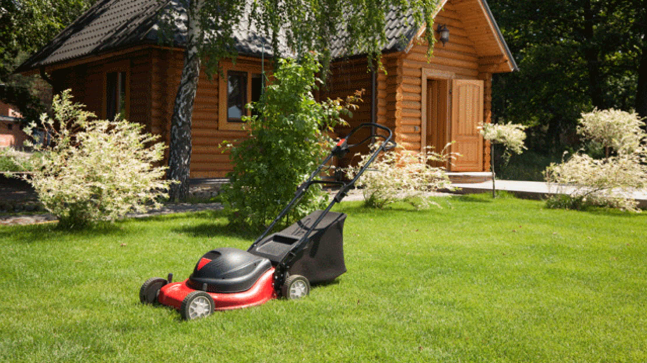 What Causes That Fresh Cut Grass Smell Mental Floss what-causes-that-fresh-cut-grass-smell-mental-floss