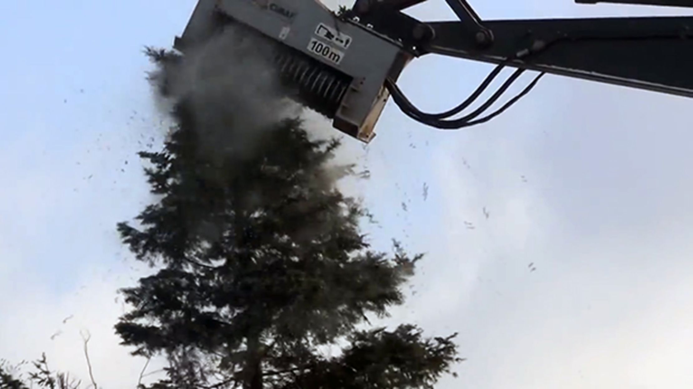 This Machine Eats Trees | Mental Floss